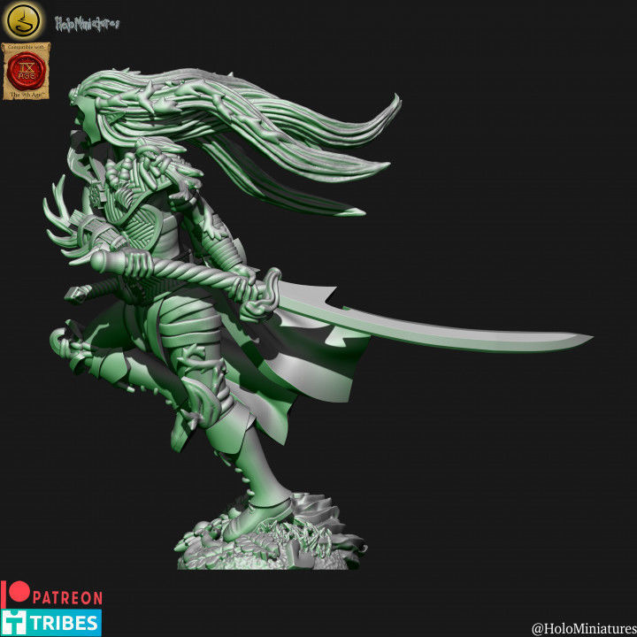 Wood elves Blade dancer lord 3D model 3D printable | CGTrader