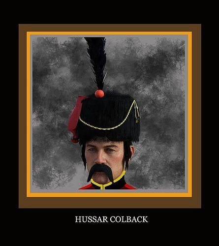 French Hussar Colback 3D model | CGTrader