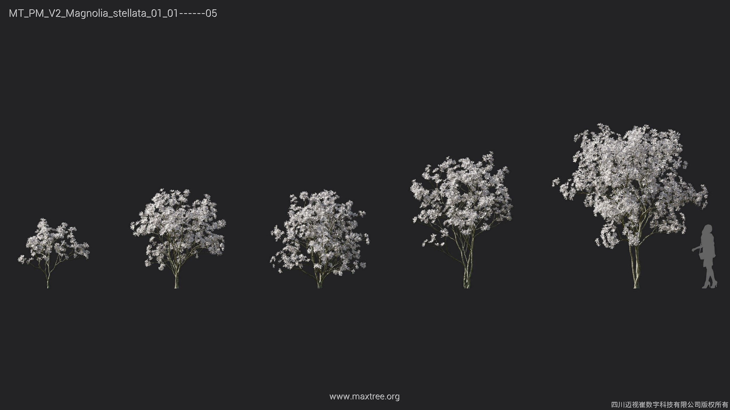 Maxtree Plant Models Vol 2 - Mesh 3D model | CGTrader