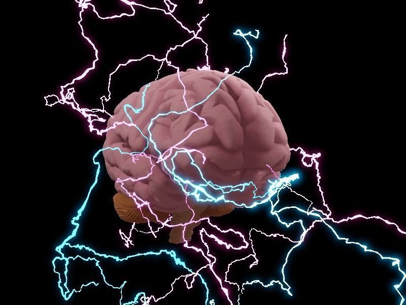 3D model Animated Brain 3d model VR / AR / low-poly | CGTrader