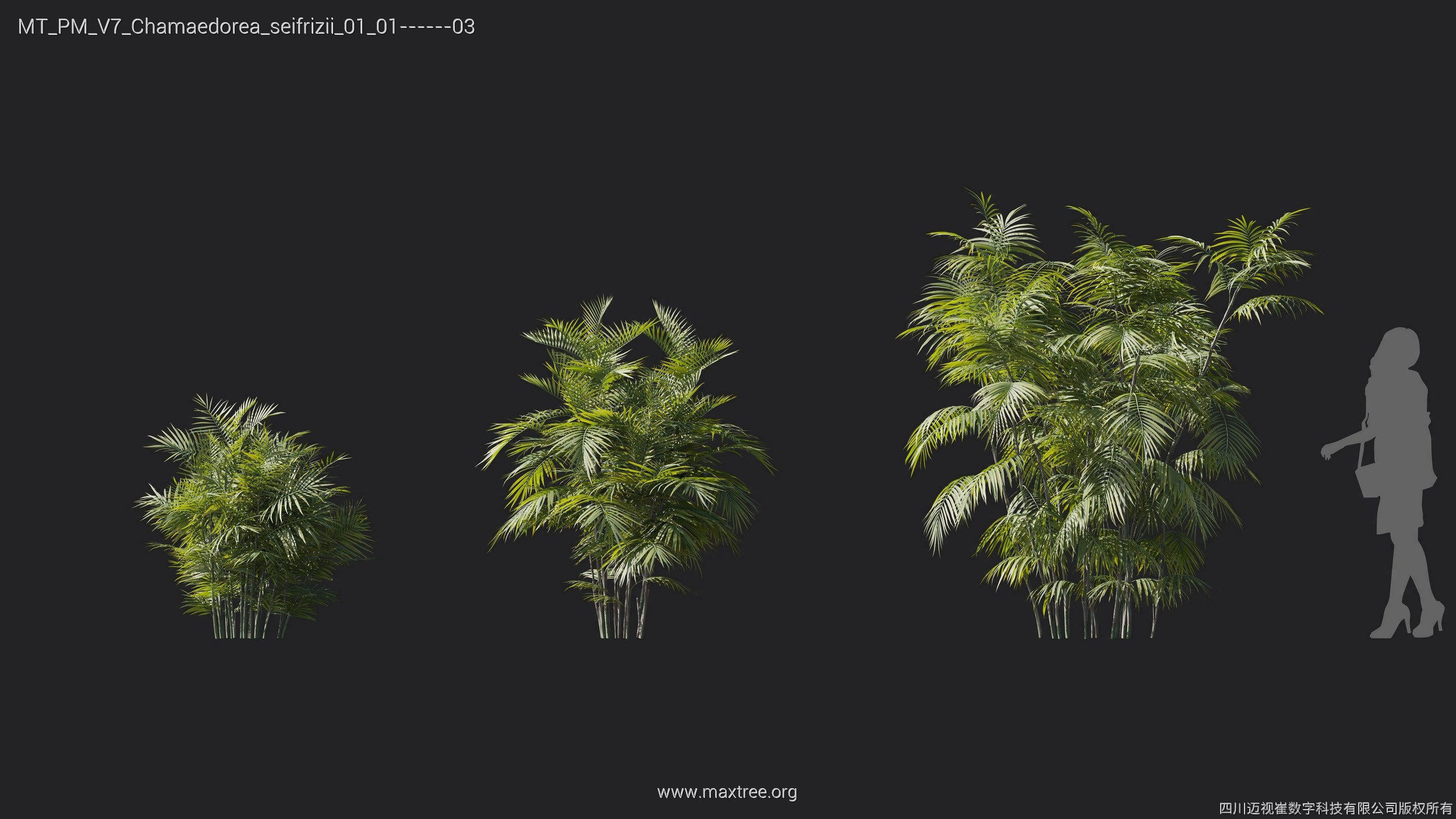 Maxtree Plant Models Vol 7 - Mesh 3D model | CGTrader