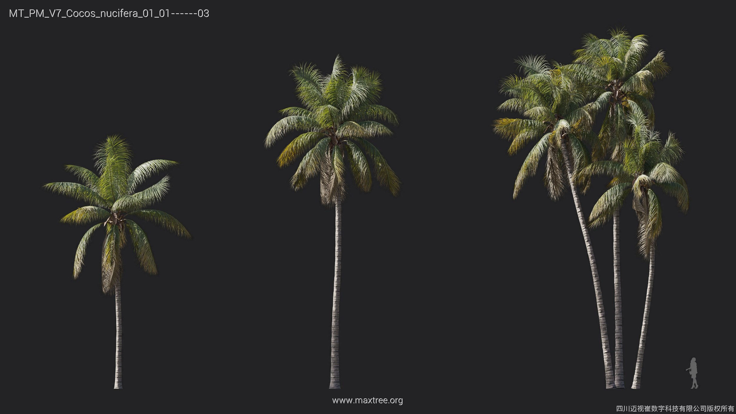 Maxtree Plant Models Vol 7 - Mesh 3D model | CGTrader