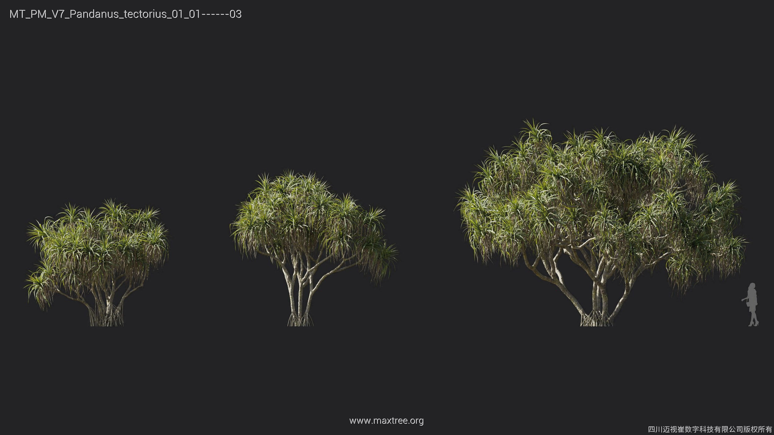 Maxtree Plant Models Vol 7 - Mesh 3D model | CGTrader
