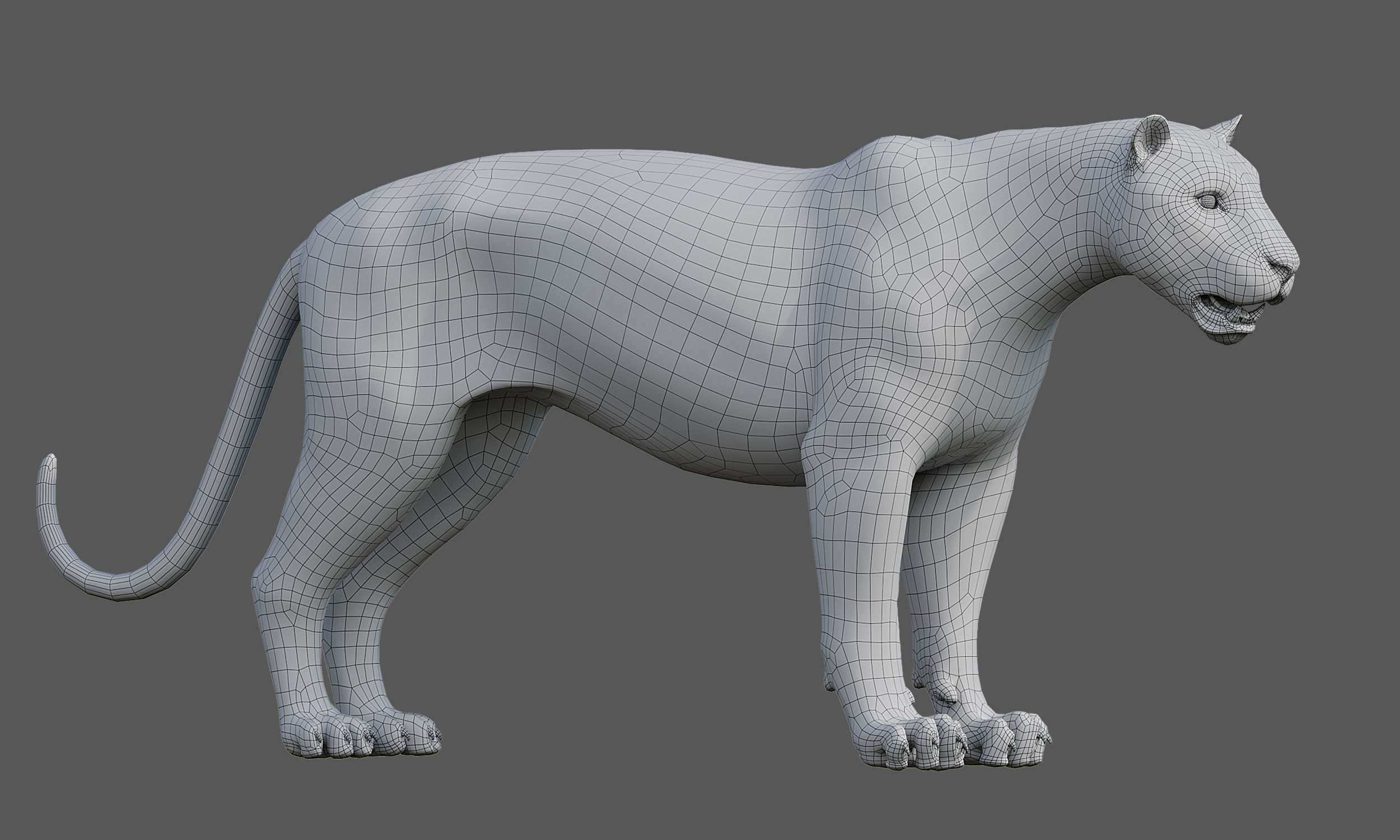 3D model Tiger Amur VR / AR / low-poly | CGTrader