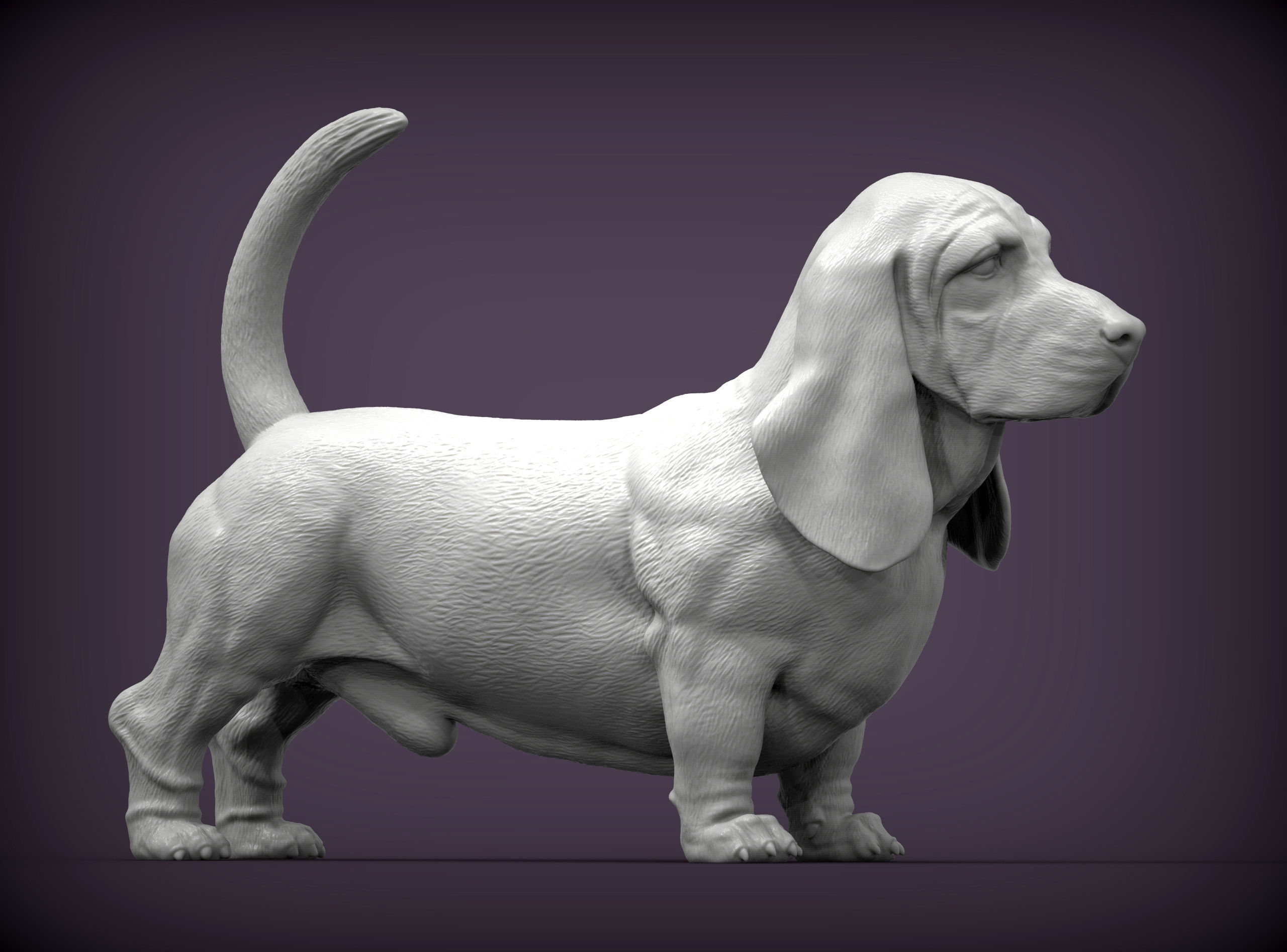 basset hound 3D model 3D printable | CGTrader