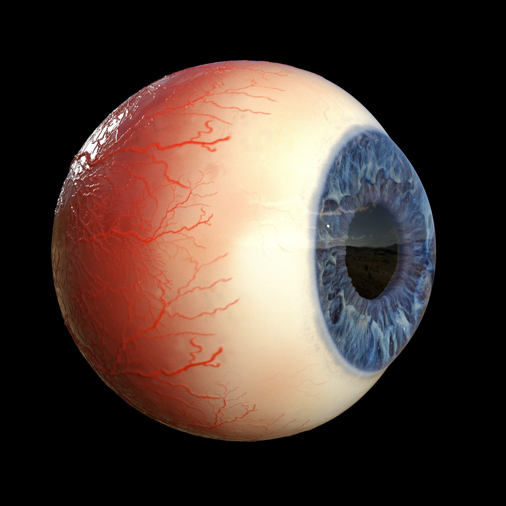 Eye Realistic human 3D model | CGTrader