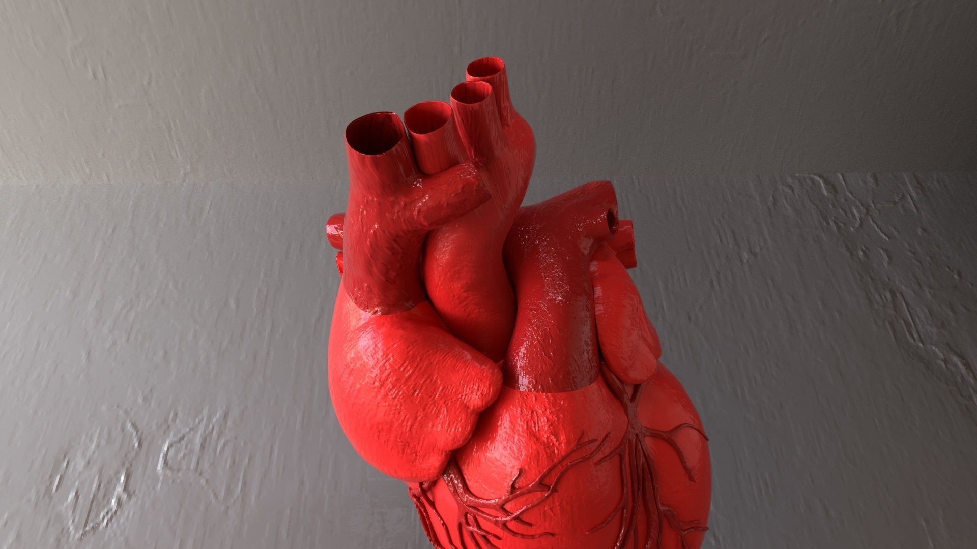 3D model Realistic Human Heart 3D Model V2 Organ VR / AR / low-poly ...