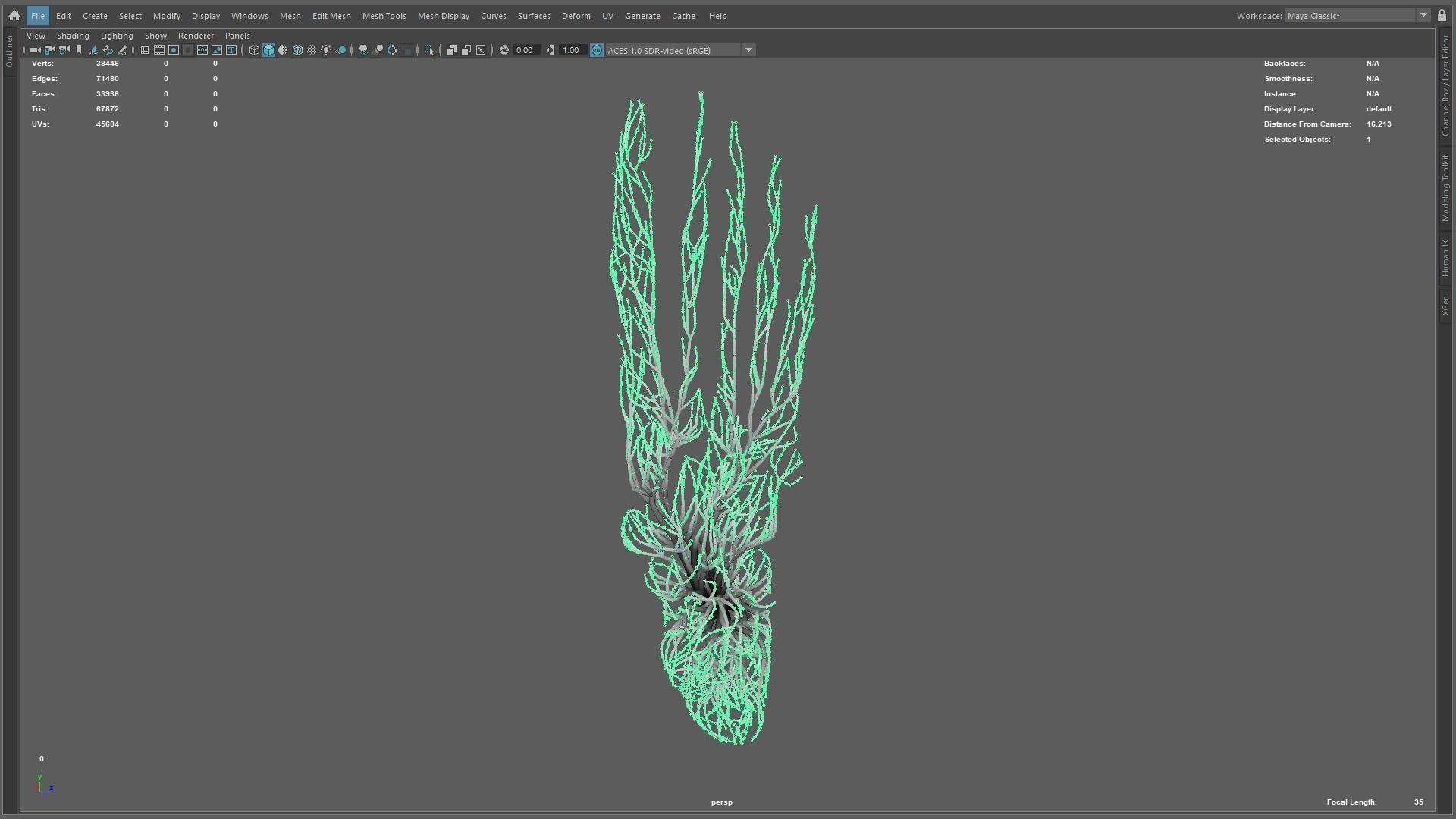 Human feet made out of lines Unrolling growing animation 3D model ...