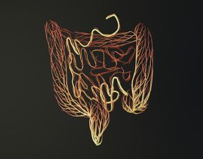 Animated Intestines 3D Models | CGTrader
