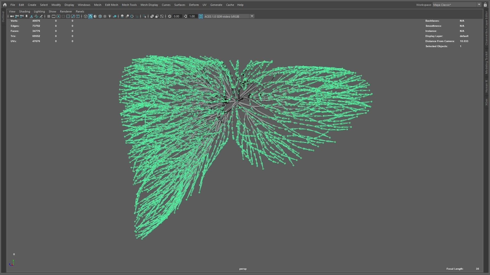 Human liver made out of lines Unrolling growing animation 3D model ...