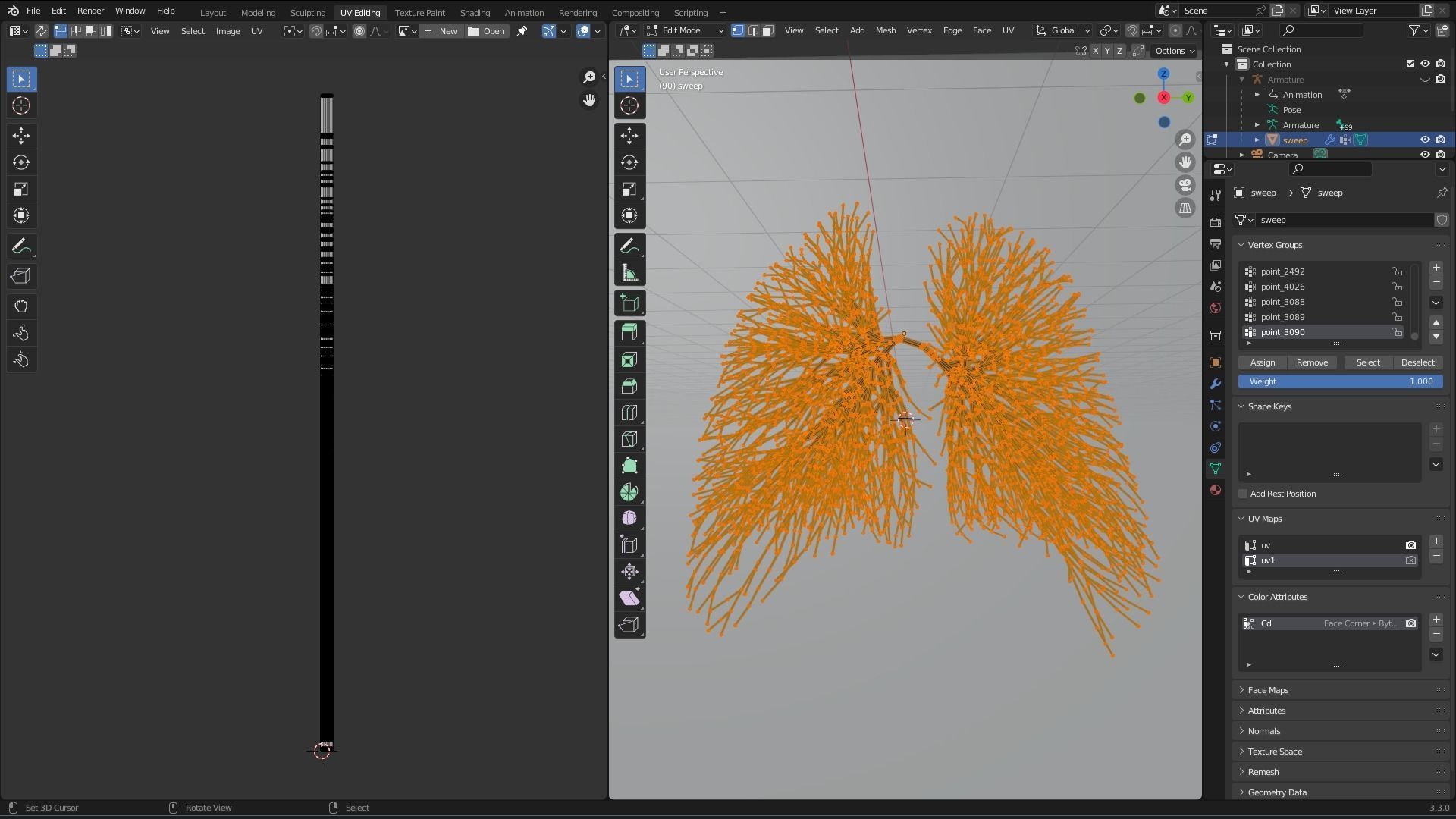 Human lungs made out of lines Unrolling growing animation 3D model ...