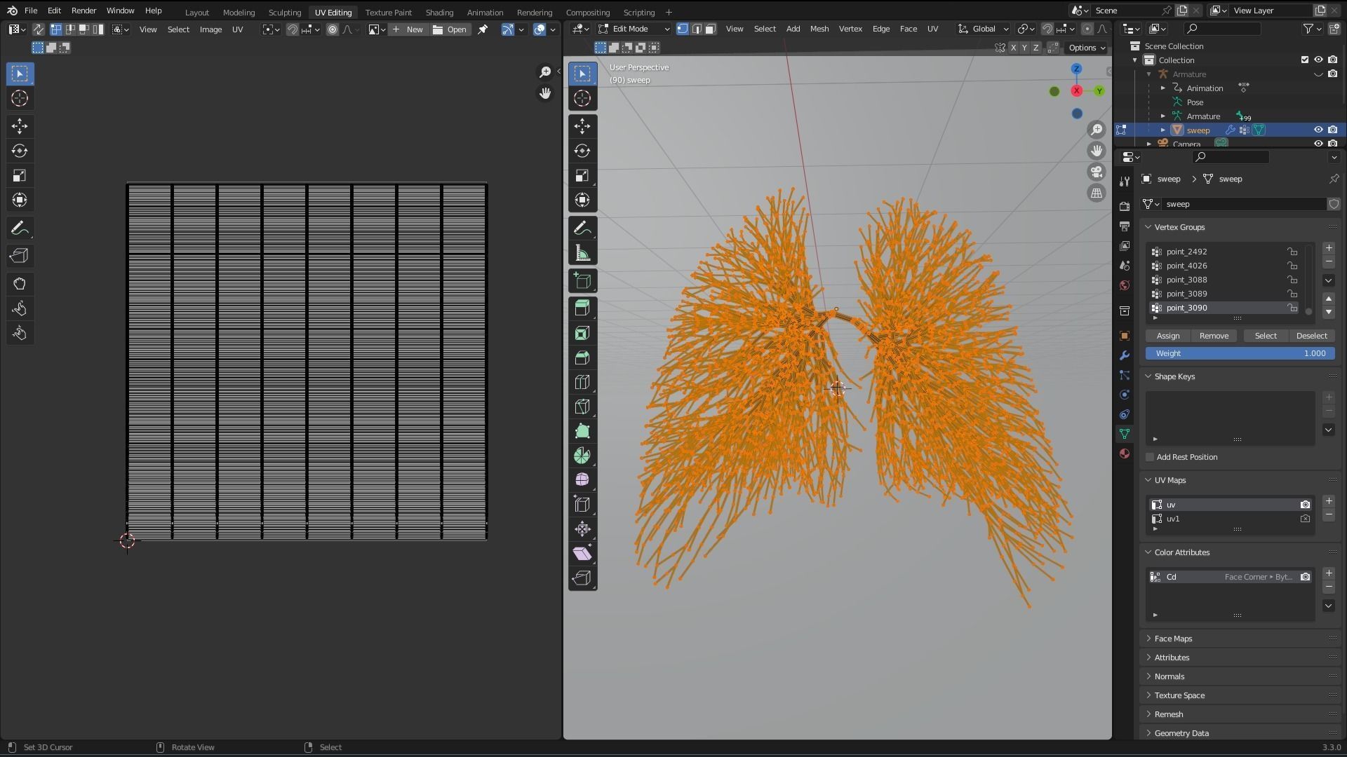 Human lungs made out of lines Unrolling growing animation 3D model ...