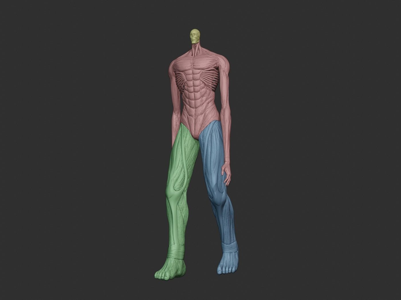Colossal Titan Armin 3D model 3D printable | CGTrader