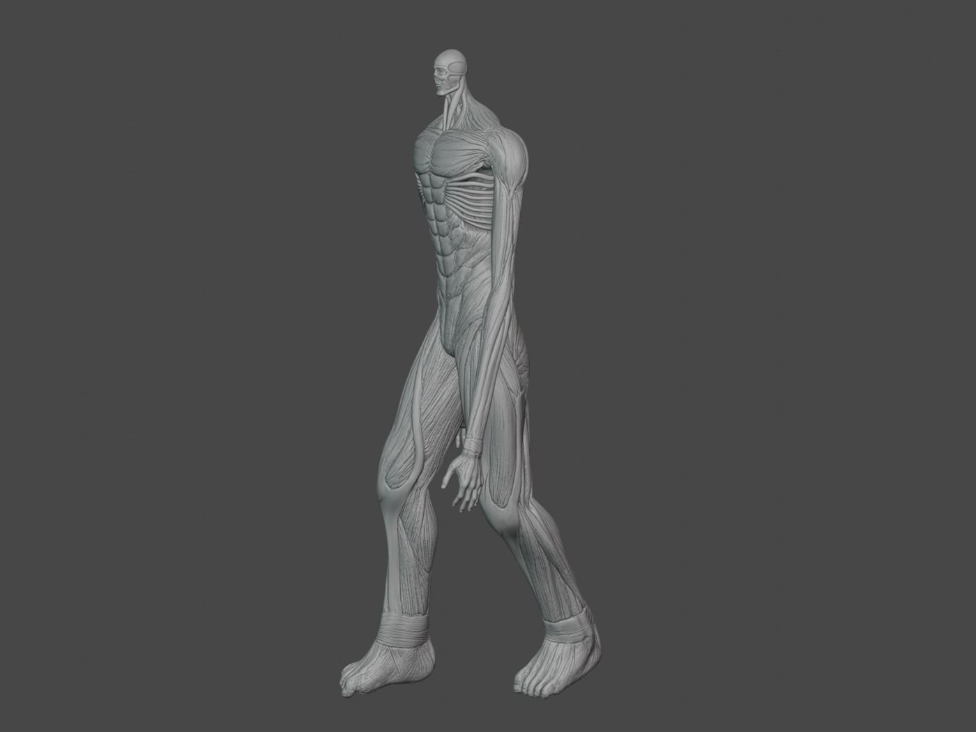 Colossal Titan Armin 3D model 3D printable | CGTrader