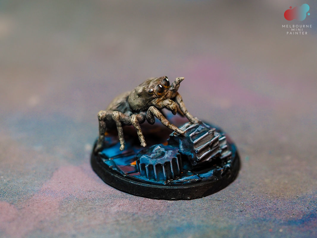 Giant Jumping Spiders 3D model 3D printable | CGTrader