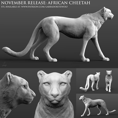 African Cheetah 3D model 3D printable | CGTrader