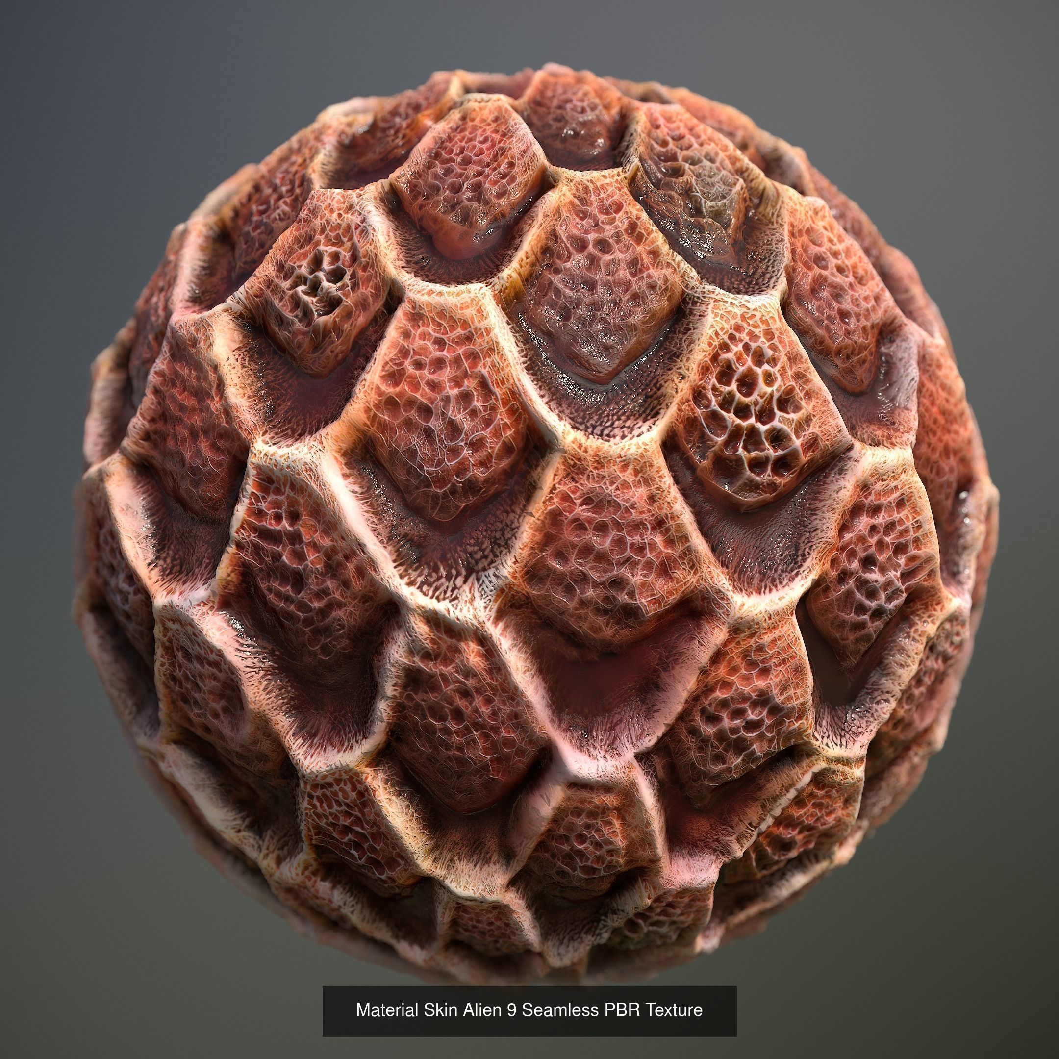 30 Materials Skin Alien Seamless PBR Bundle 1 3D Model Collection ...