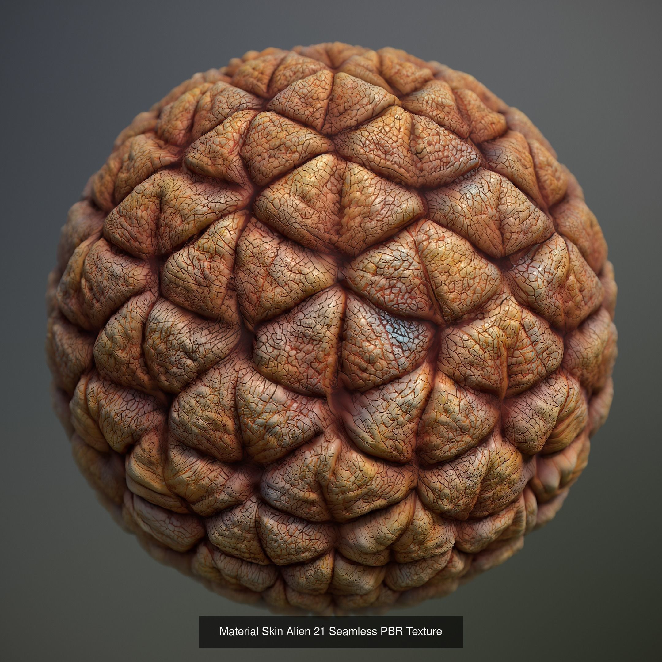 30 Materials Skin Alien Seamless PBR Bundle 1 3D Model Collection ...