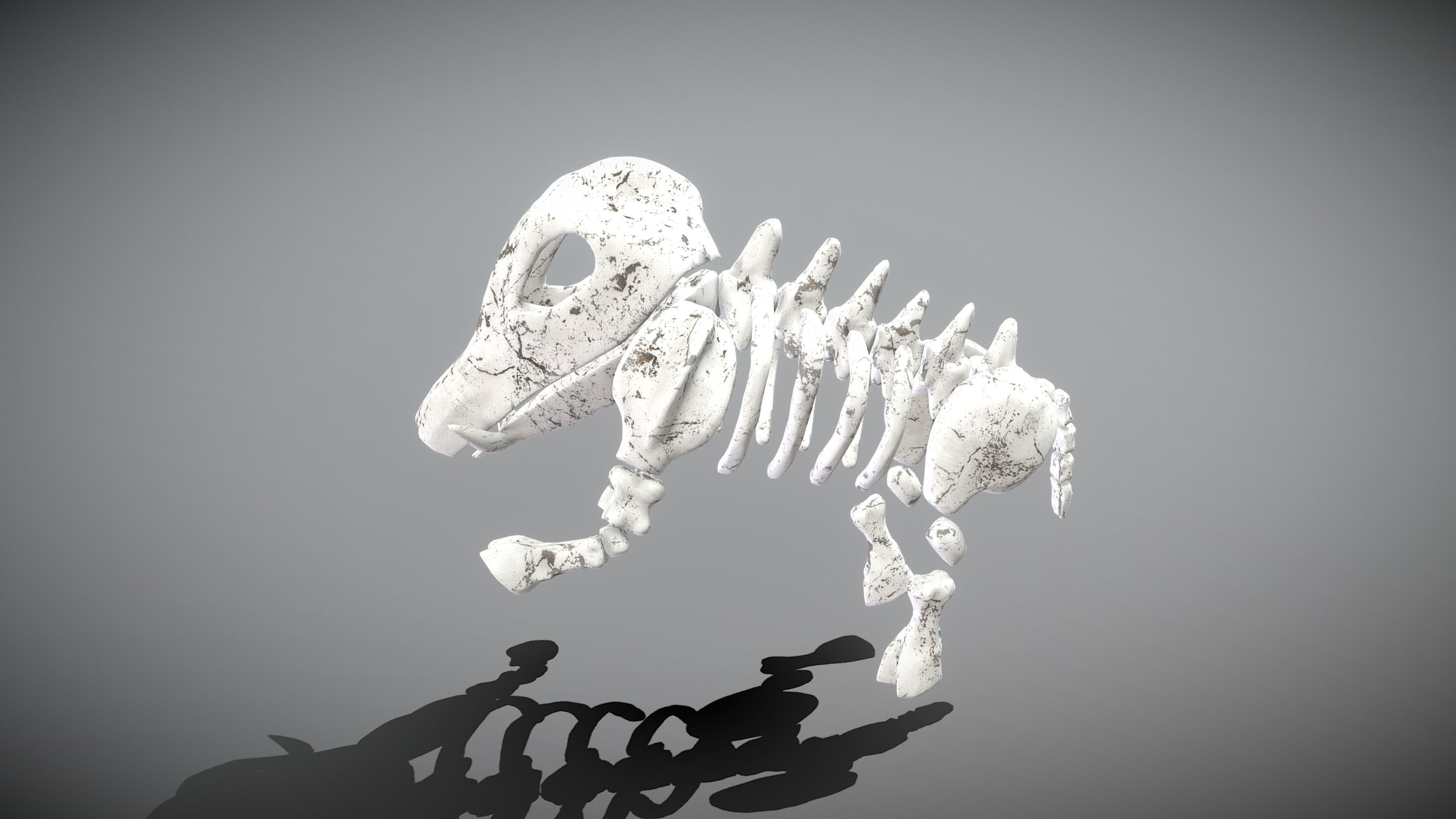 3D model Boar Skeleton VR / AR / low-poly | CGTrader