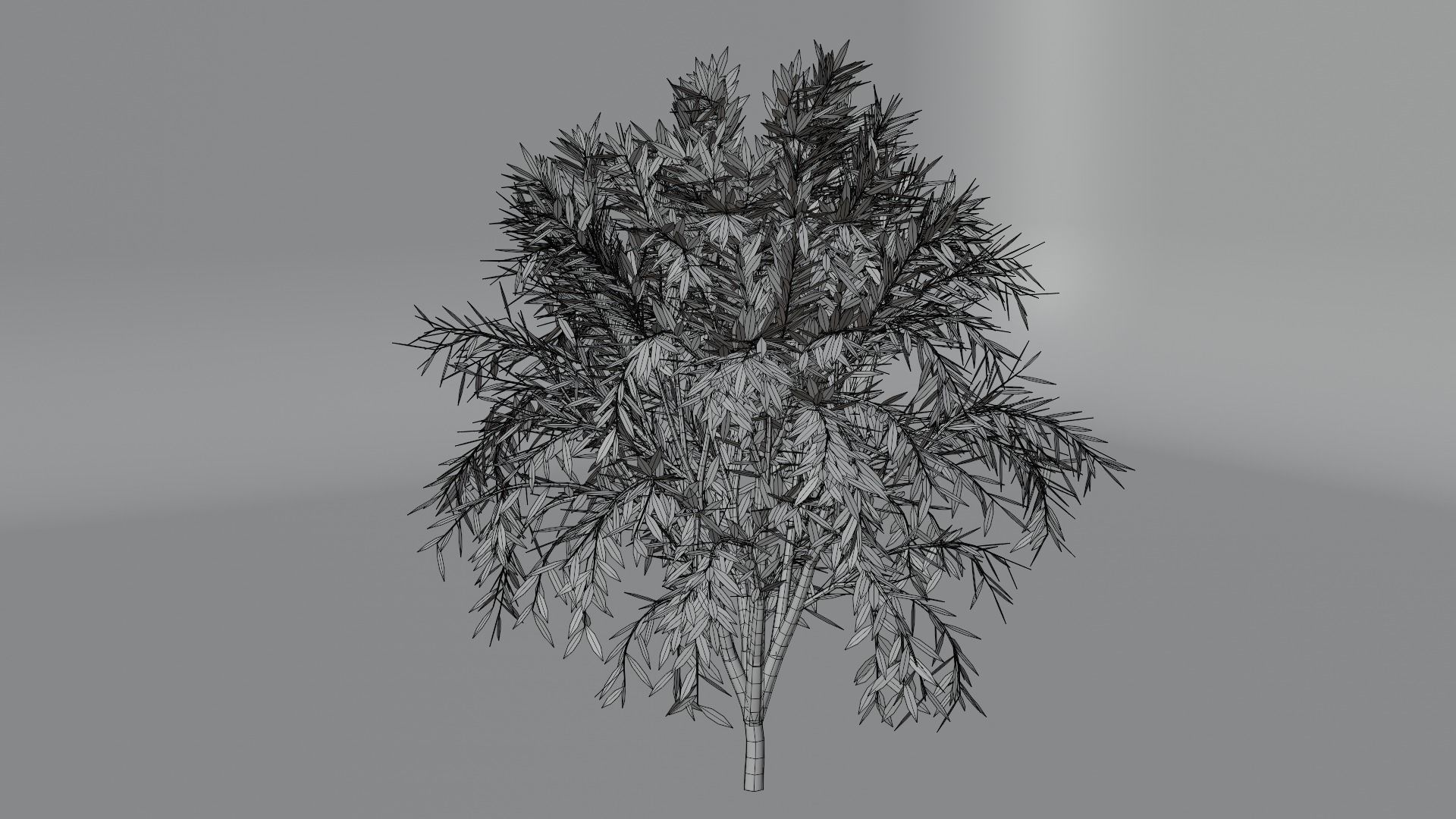 PBR tree asset pack 3D model | CGTrader