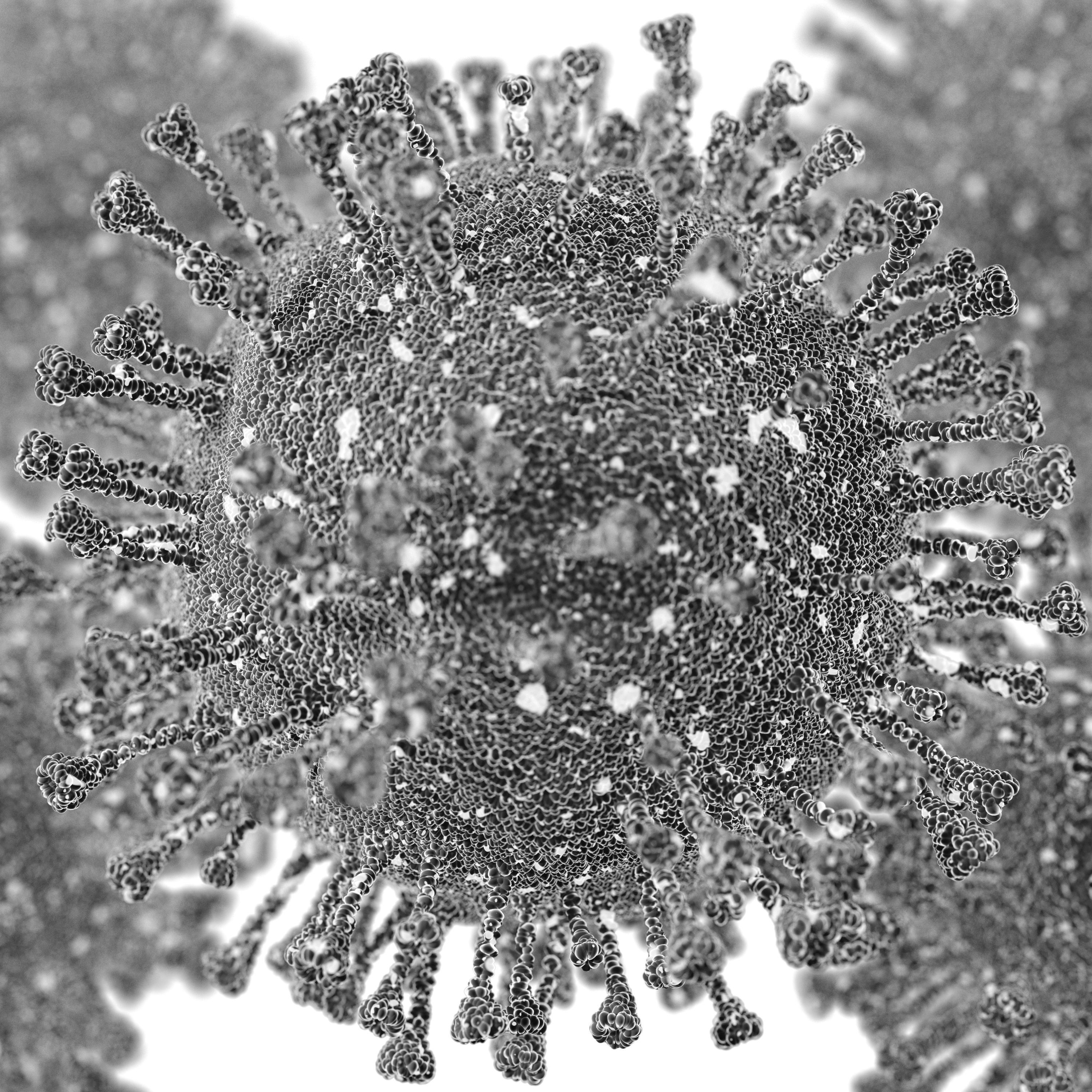 3D model Coronavirus 2019-nCoV Electron Microscopy free 3D model | CGTrader