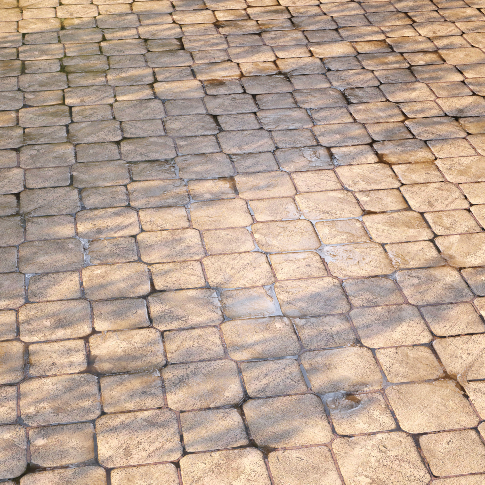 Texture Mrf Wet Pavement Set05 VR / AR / low-poly | CGTrader