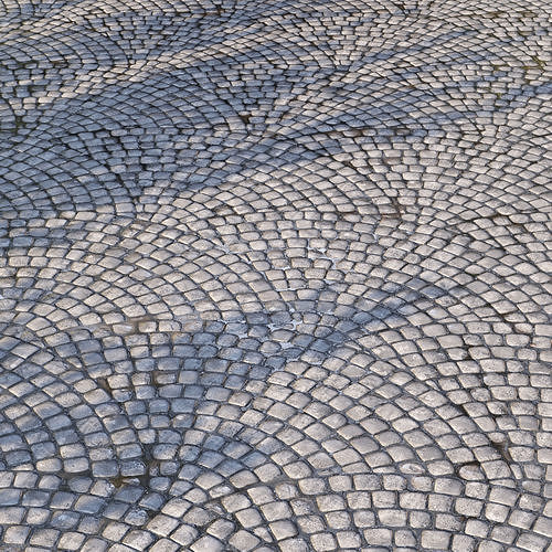 Texture Mrf Wet Pavement Set09 VR / AR / low-poly | CGTrader