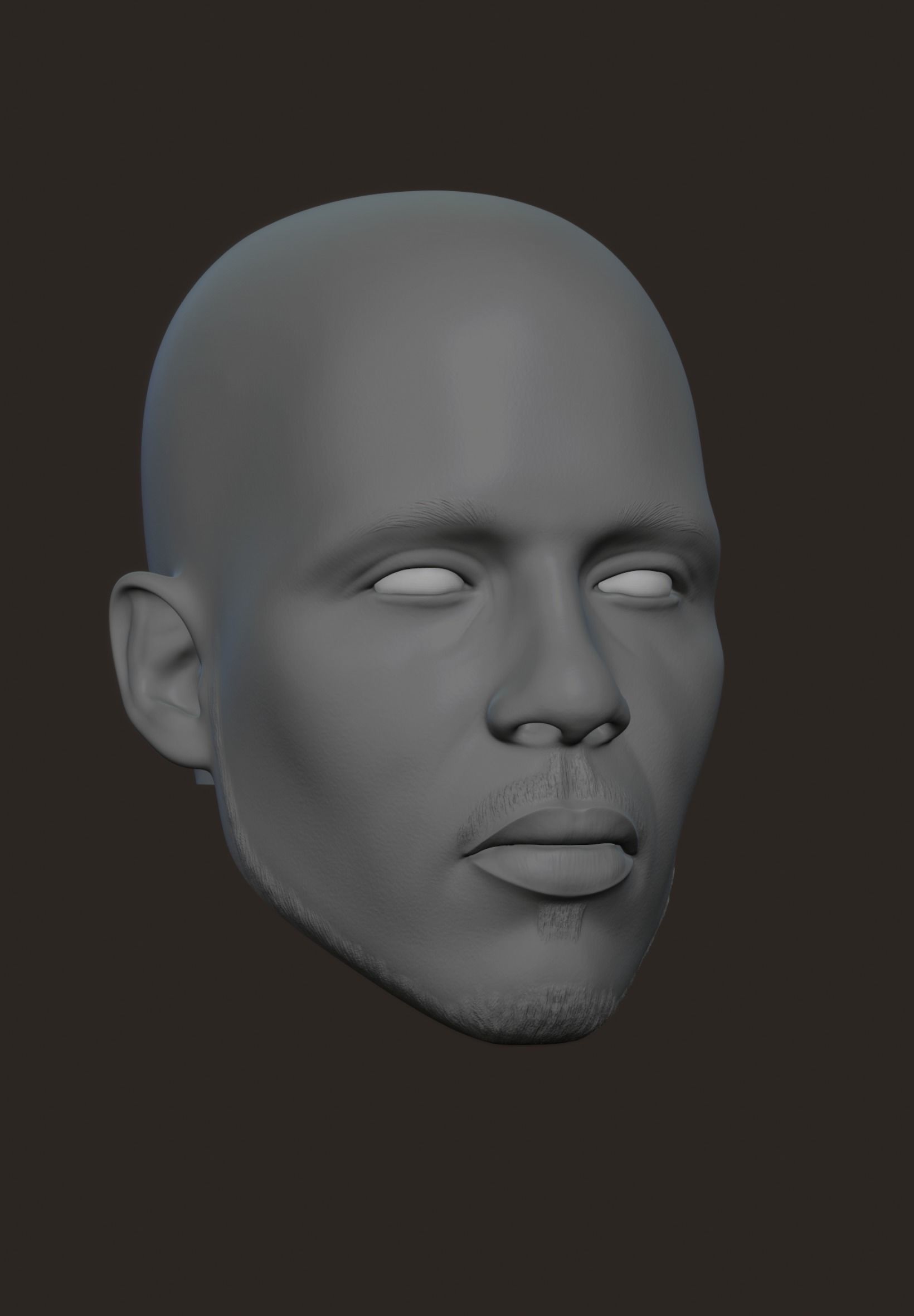 DMX Head Sculpt 3D model 3D printable | CGTrader