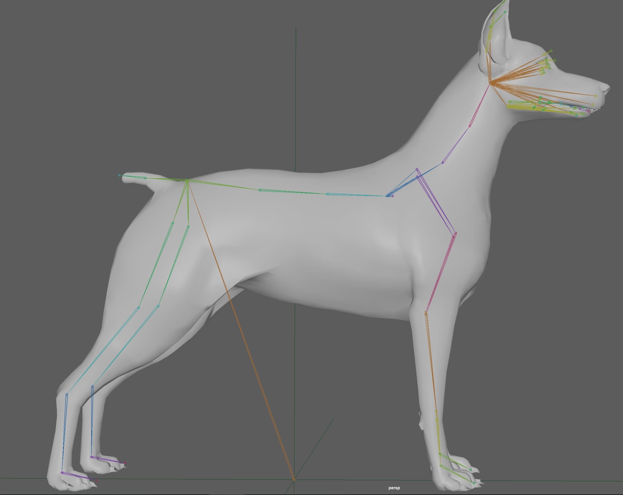 Doberman Dog Rig 3D model rigged | CGTrader