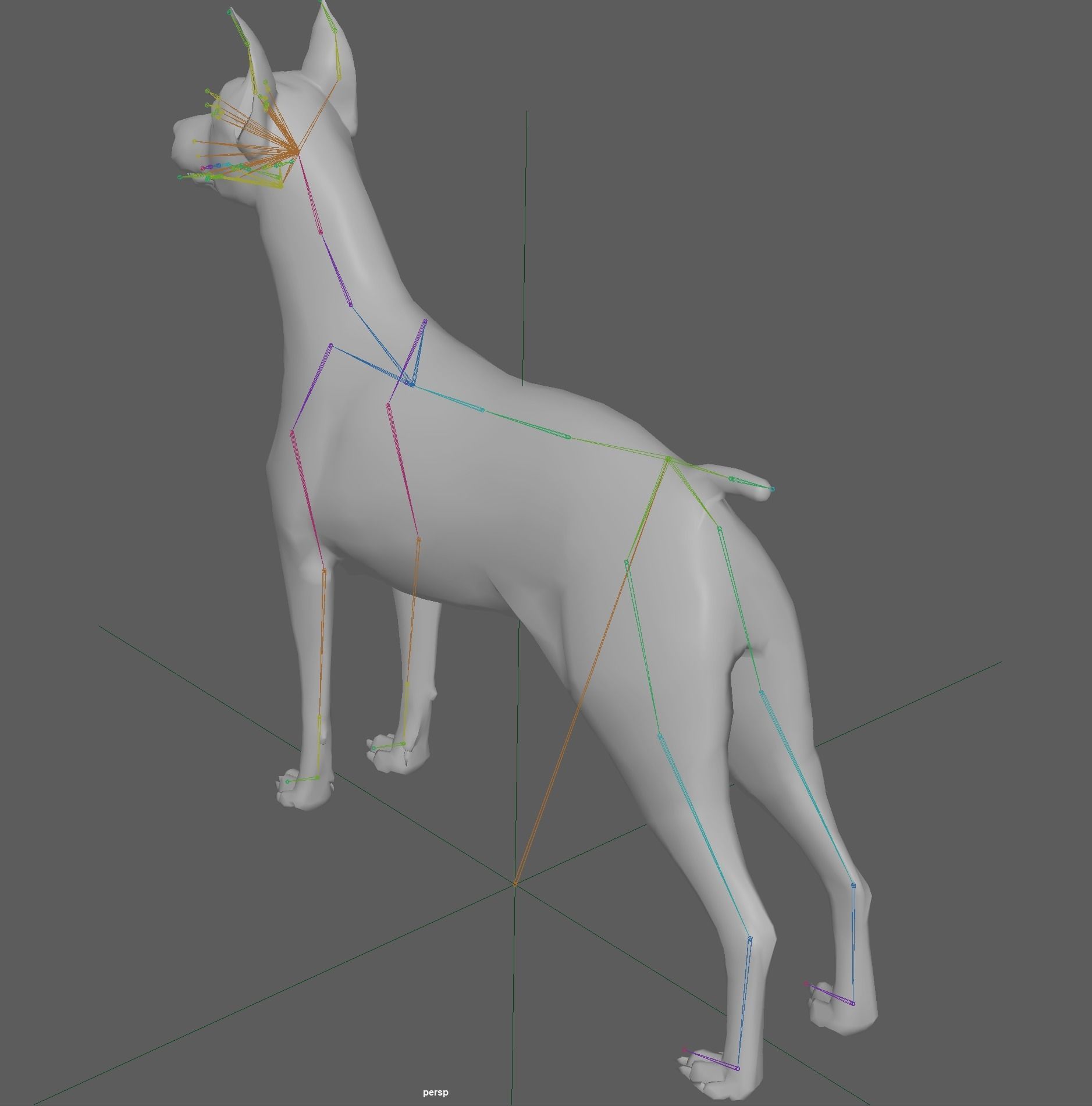 Doberman Dog Rig 3D model rigged | CGTrader