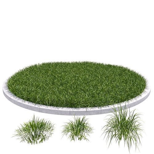 Simple Grass Model free 3D model | CGTrader