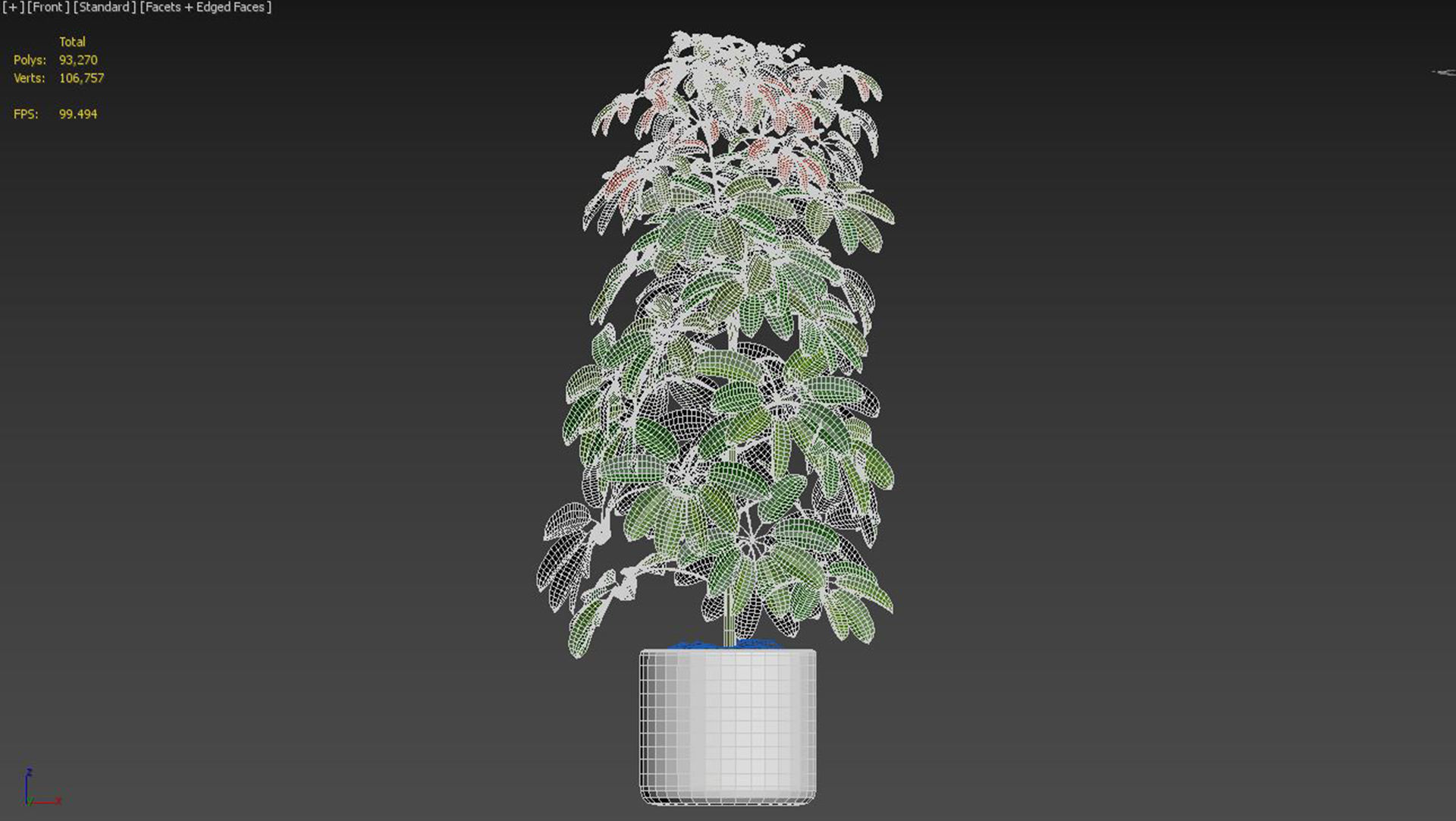 Schefflera Arboricola-01 3D model | CGTrader