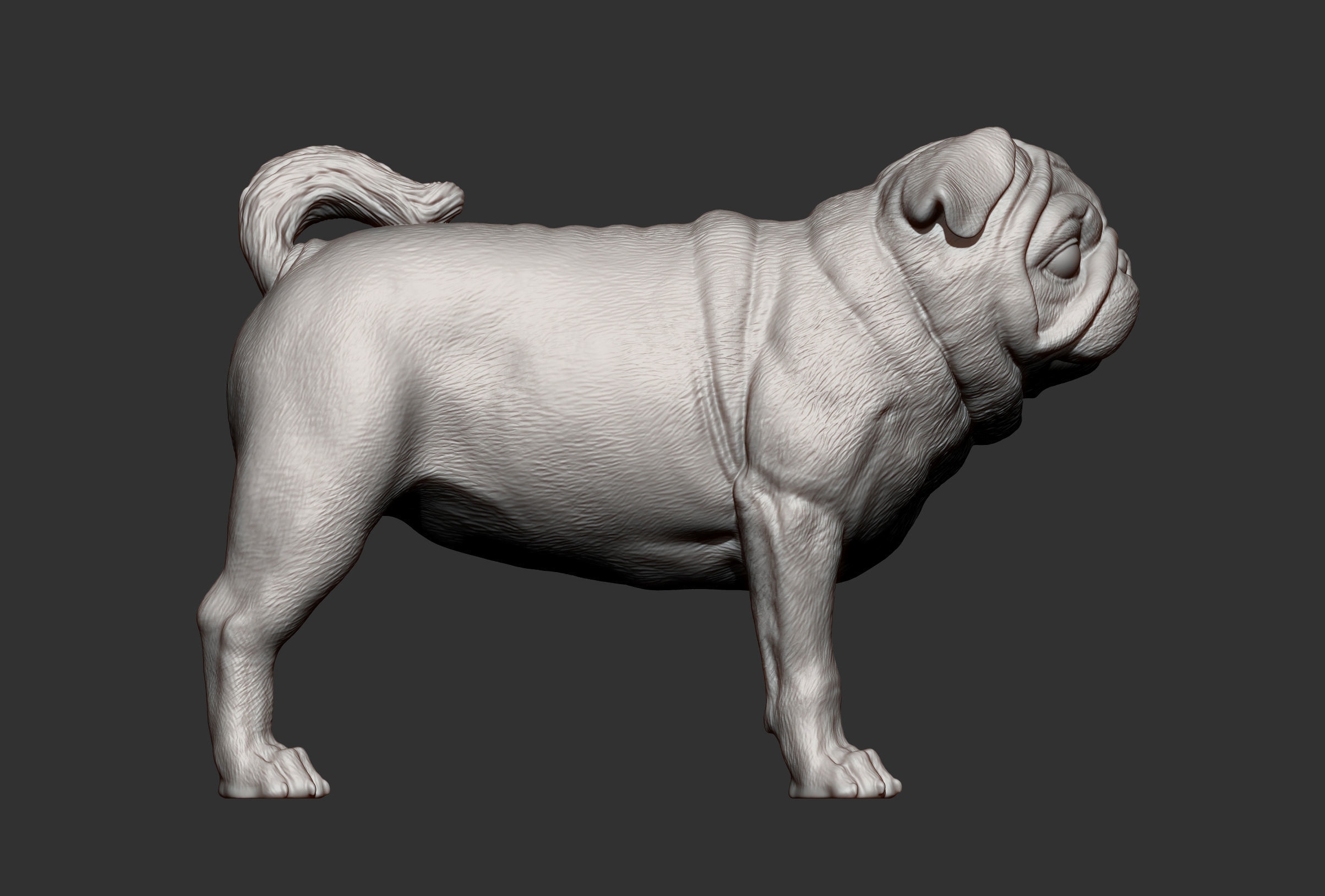 Pug for 3D printing 3D model 3D printable | CGTrader