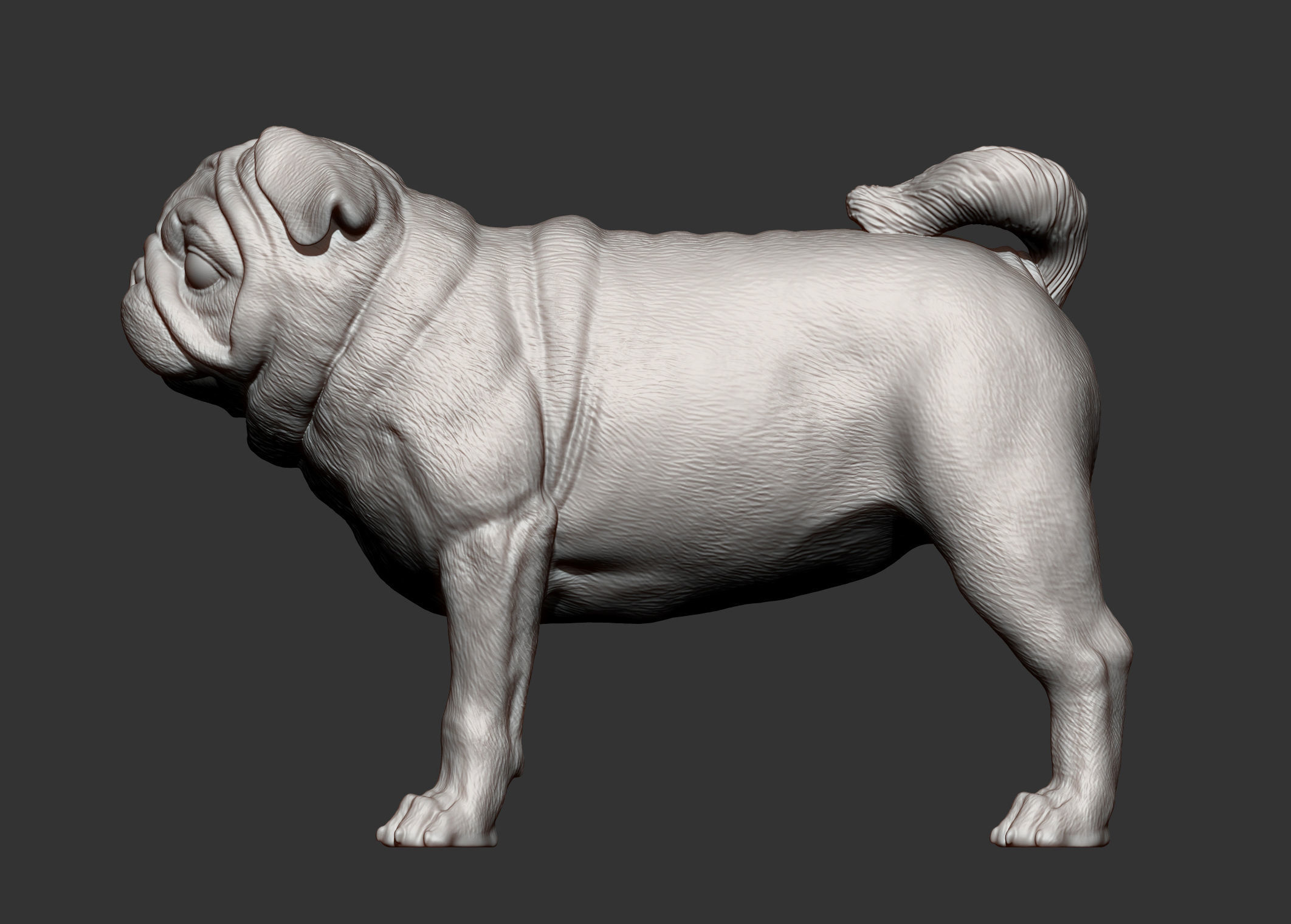 Pug for 3D printing 3D model 3D printable | CGTrader