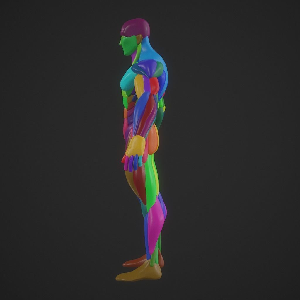 Basebody for Sculpting 3D model | CGTrader