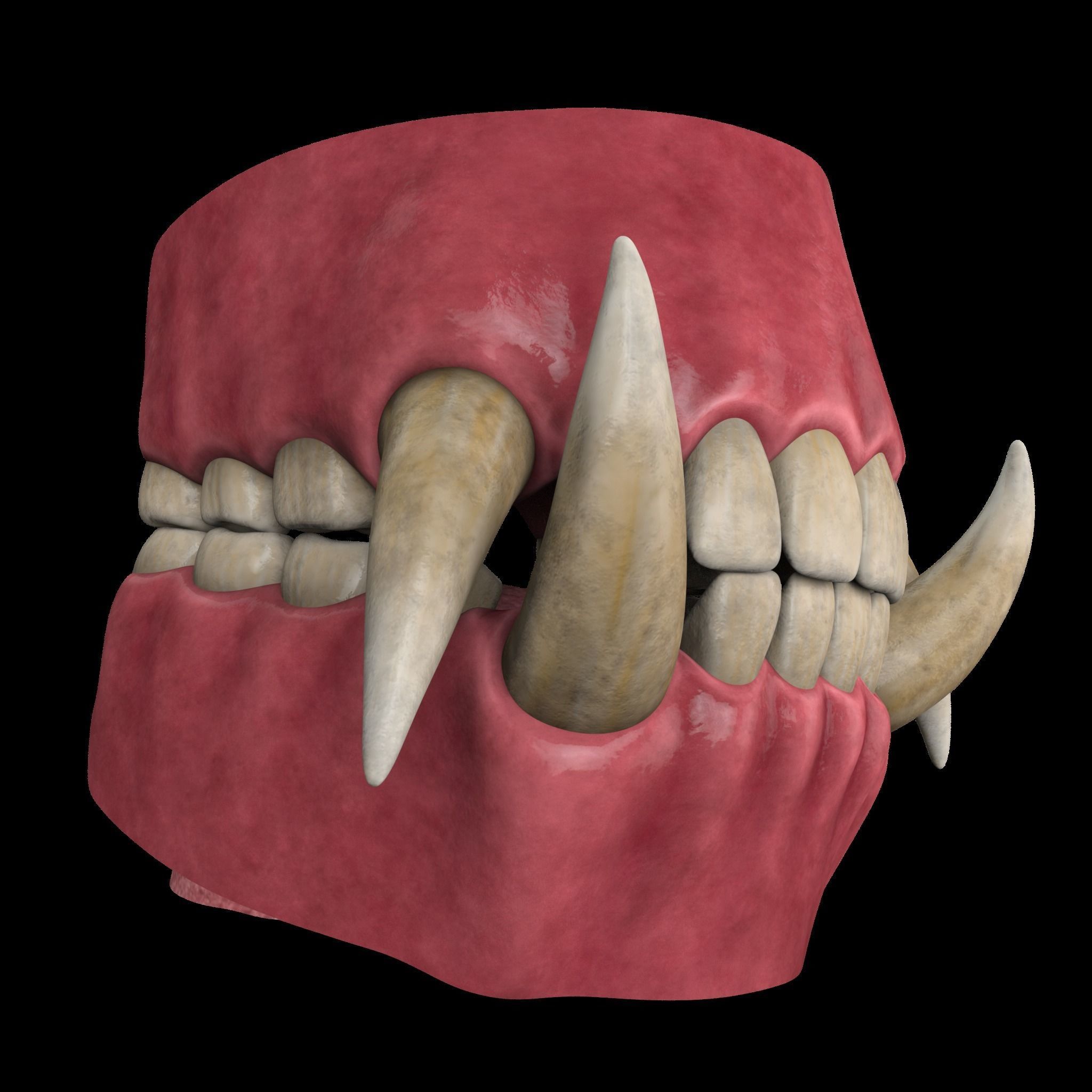 Orc Teeth 3D model | CGTrader