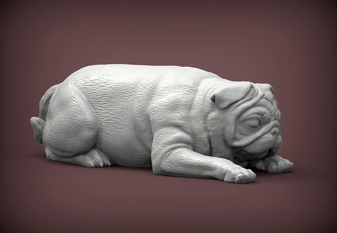 Pug for 3D printing 3D model 3D printable | CGTrader
