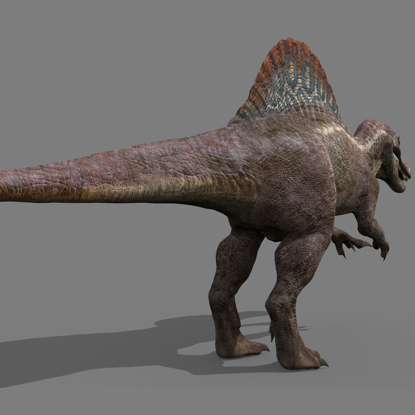 Suchomimus Mongolica - 8K animated JP3 Spinosaur 3D model animated ...