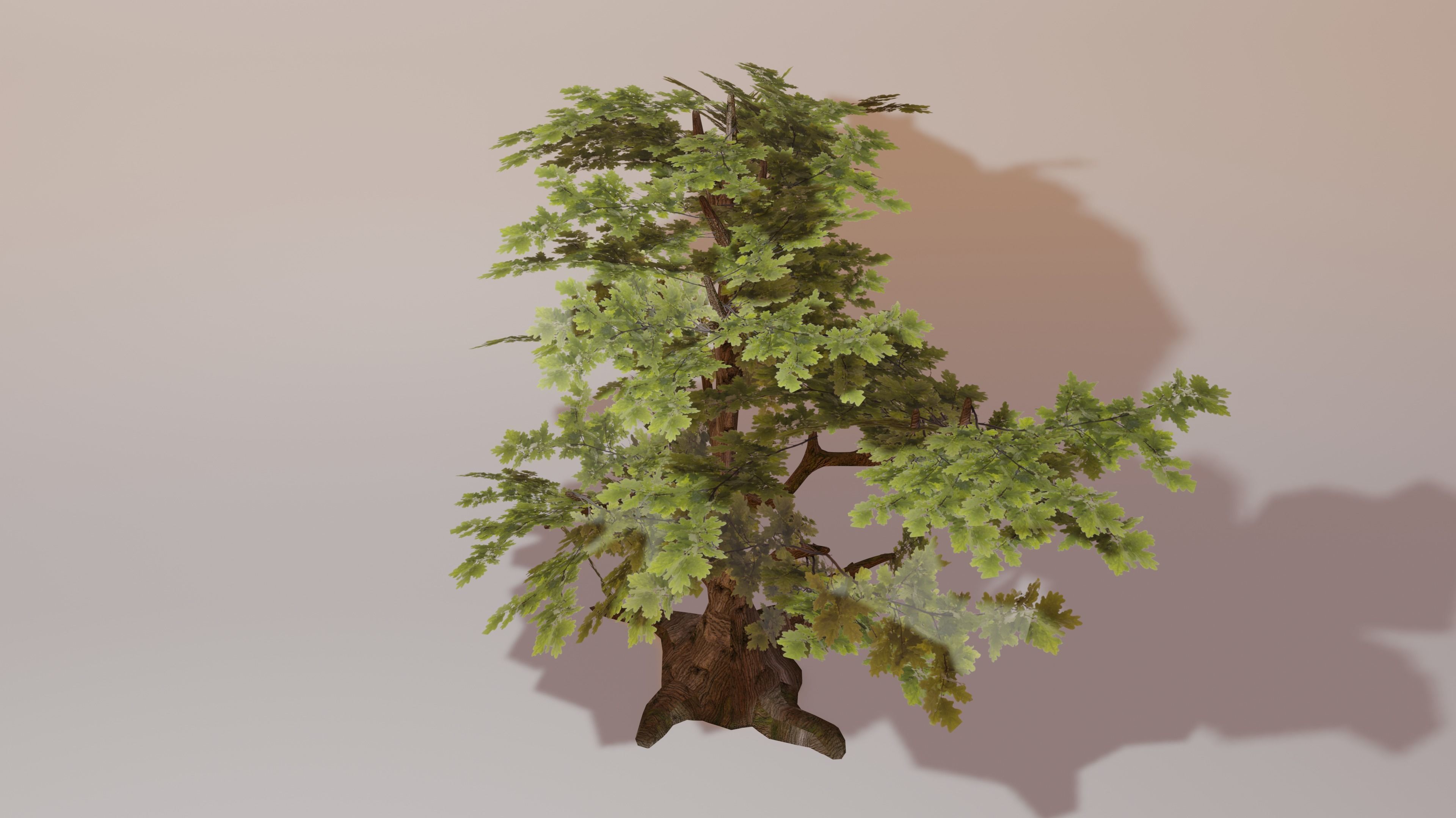 tree PBR uvs for enviroment free VR / AR / low-poly 3D model | CGTrader