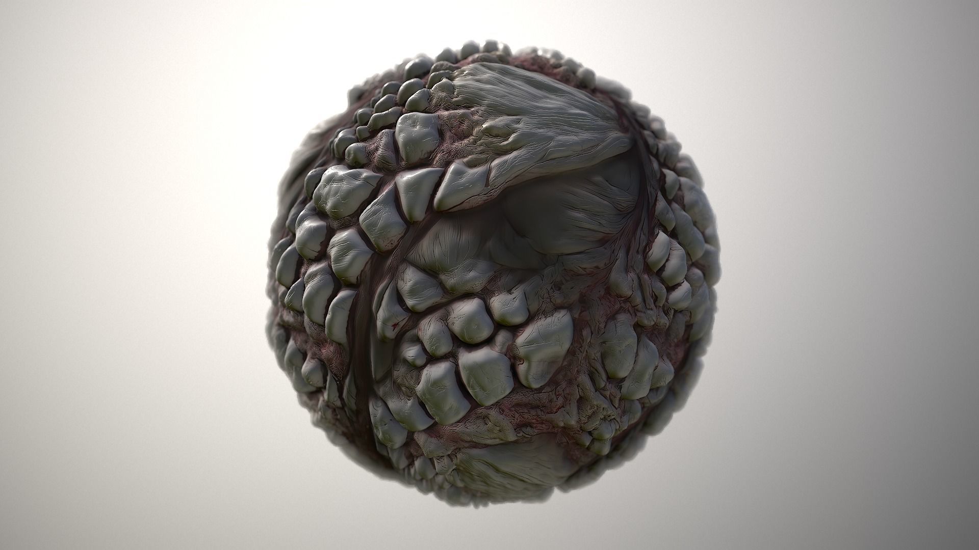 Material Skin Monster 1 Seamless PBR Texture Texture | CGTrader