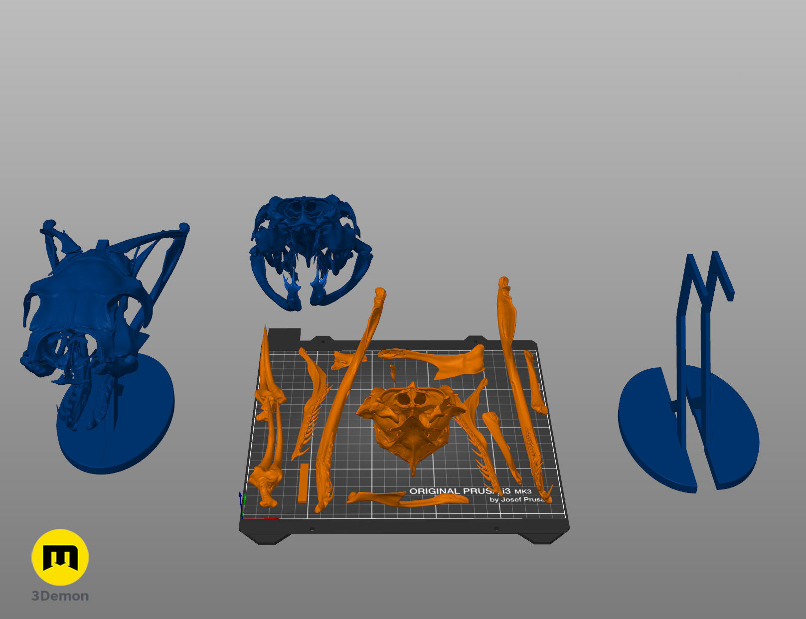 Gaboon Viper Snake Skull free 3D model 3D printable | CGTrader