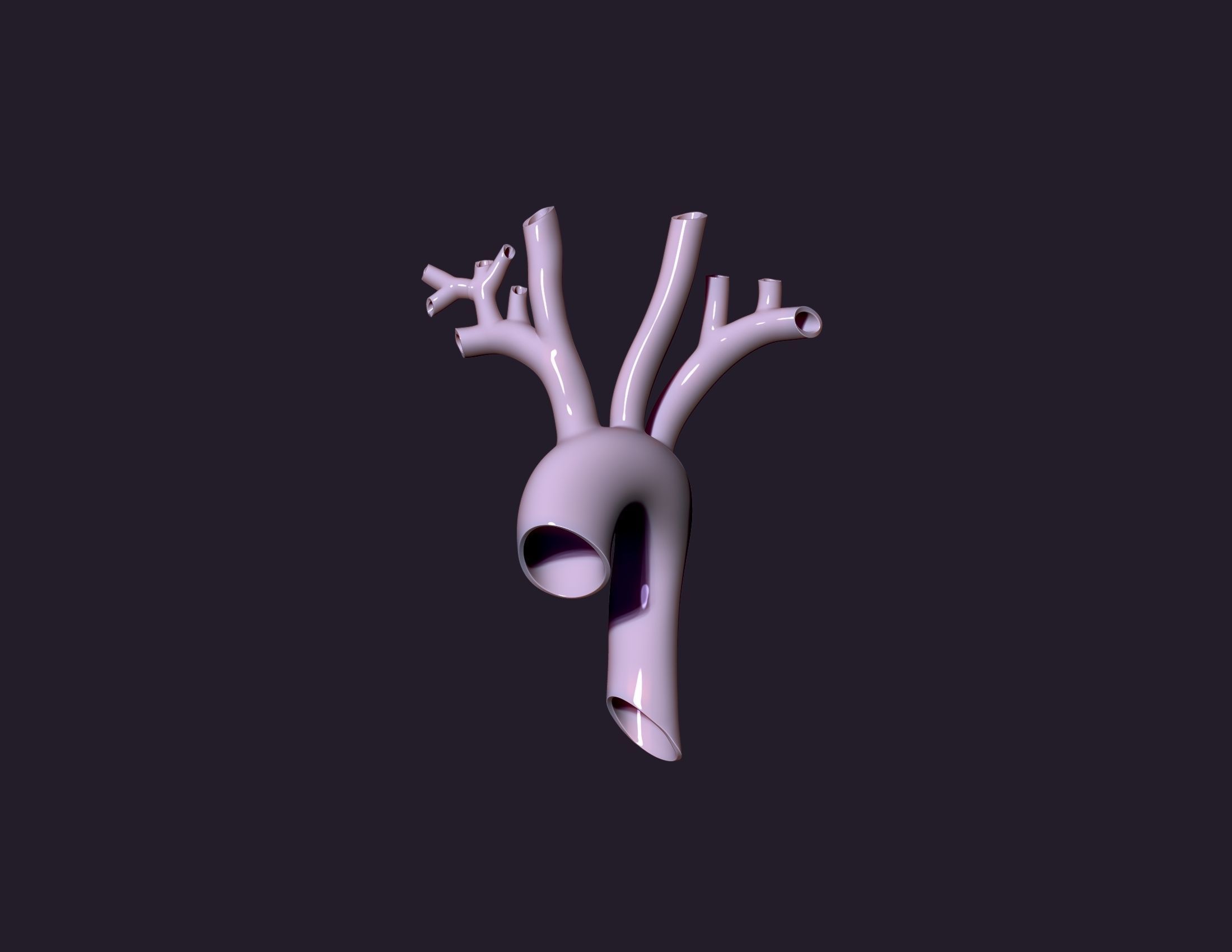 human aorta 3D model 3D printable | CGTrader