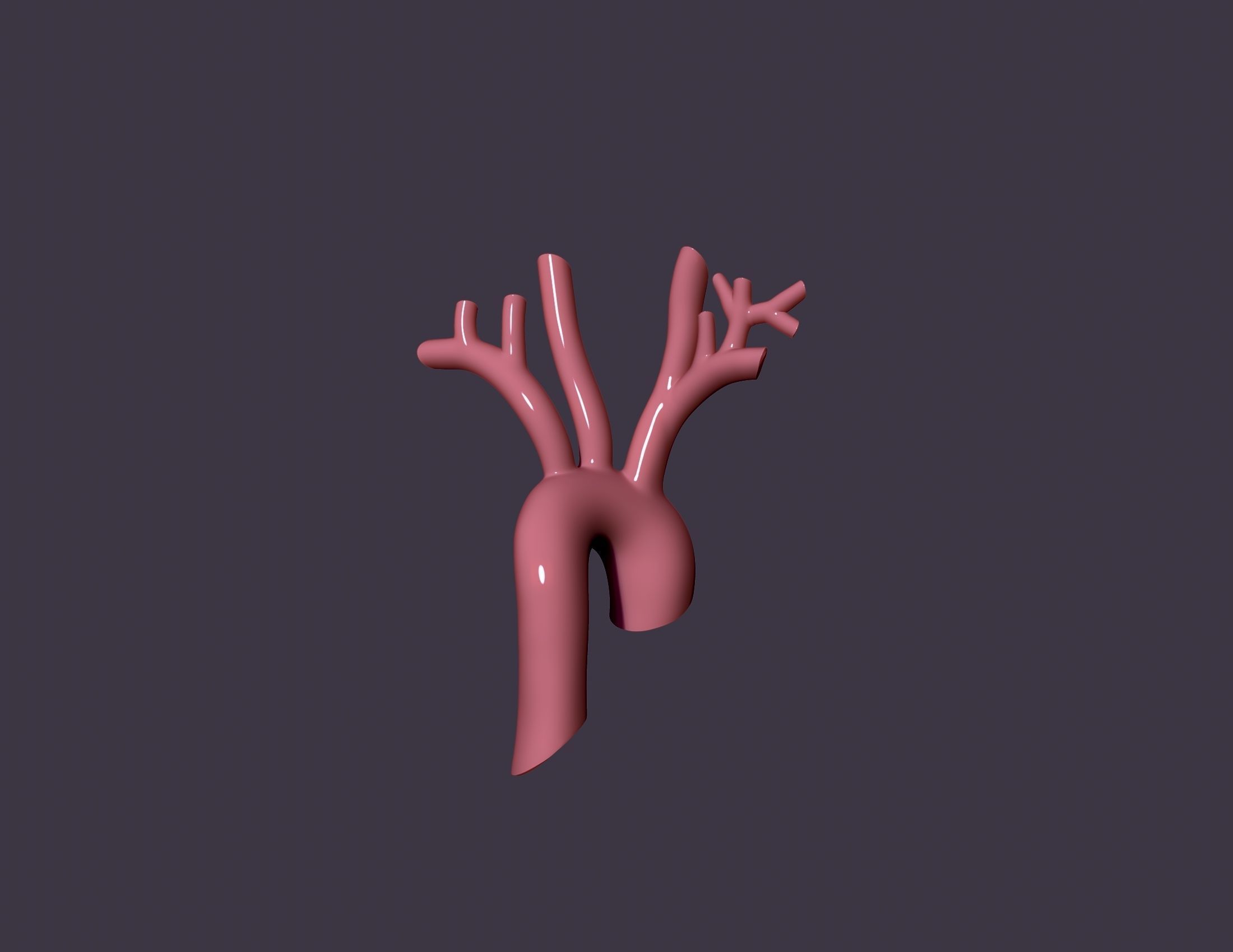 human aorta 3D model 3D printable | CGTrader