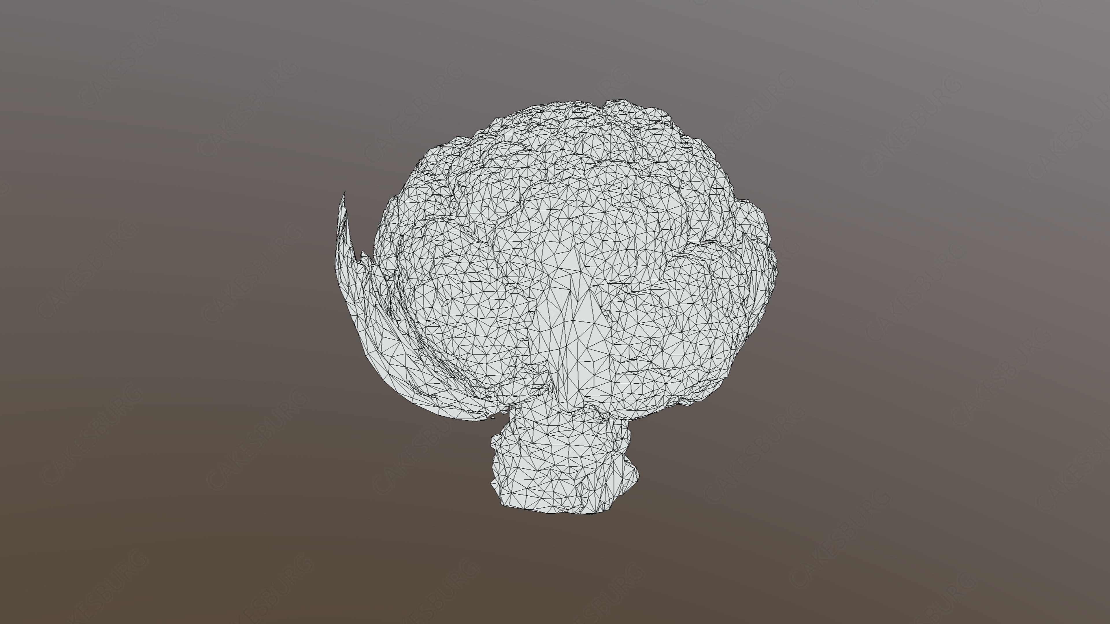 3D model Aguera Cauliflower VR / AR / low-poly | CGTrader