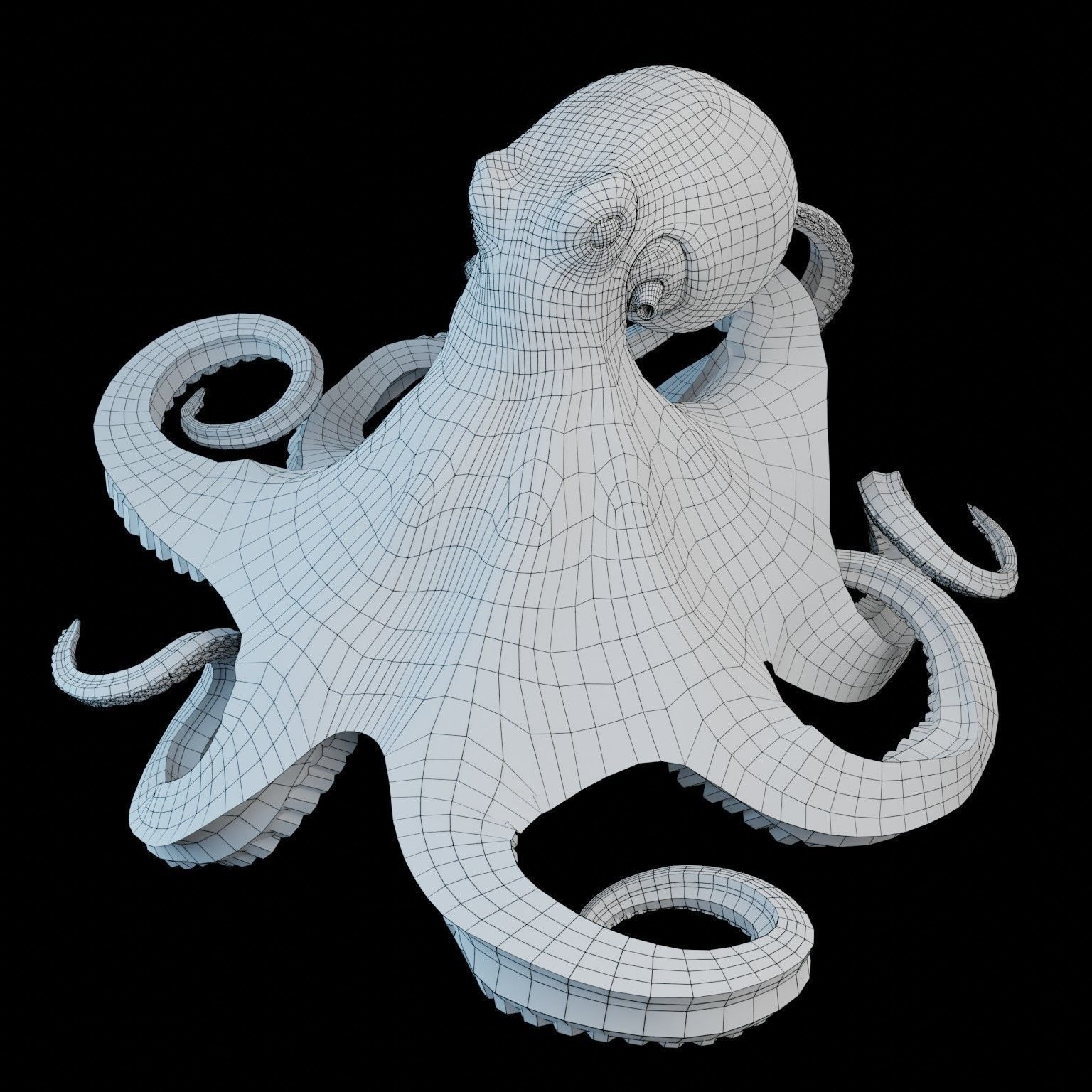 3D model Animated Octopus VR / AR / low-poly | CGTrader