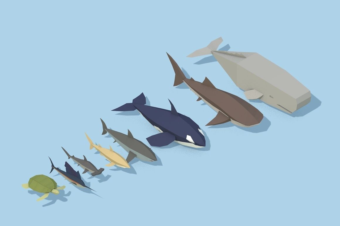 3D model Low Poly Pirate Tropical Sea Fauna Animals Asset Pack VR / AR ...