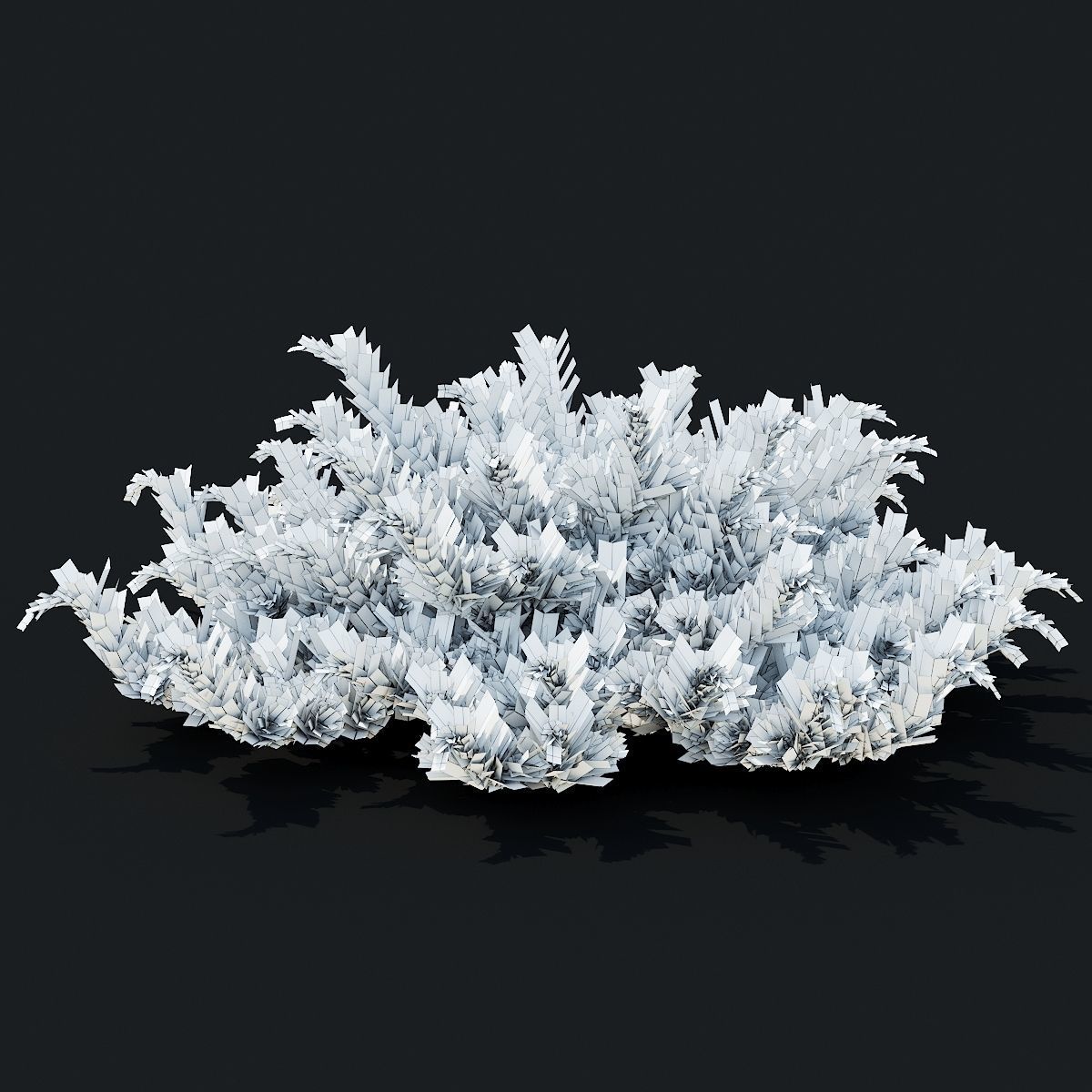 Juniperus sabina tamariscifolia 3D model | CGTrader