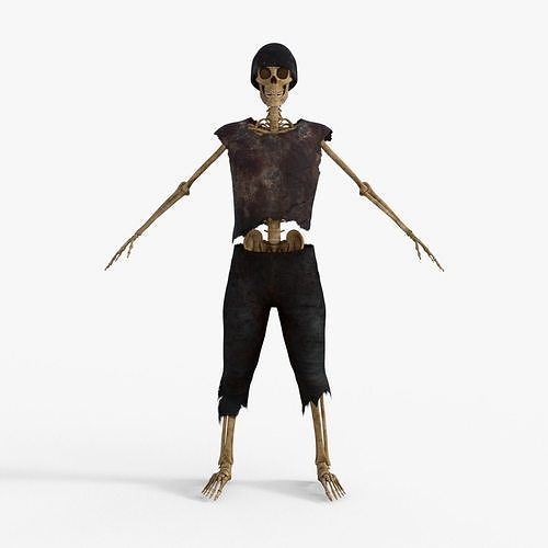 Scary Skeleton 3D model | CGTrader