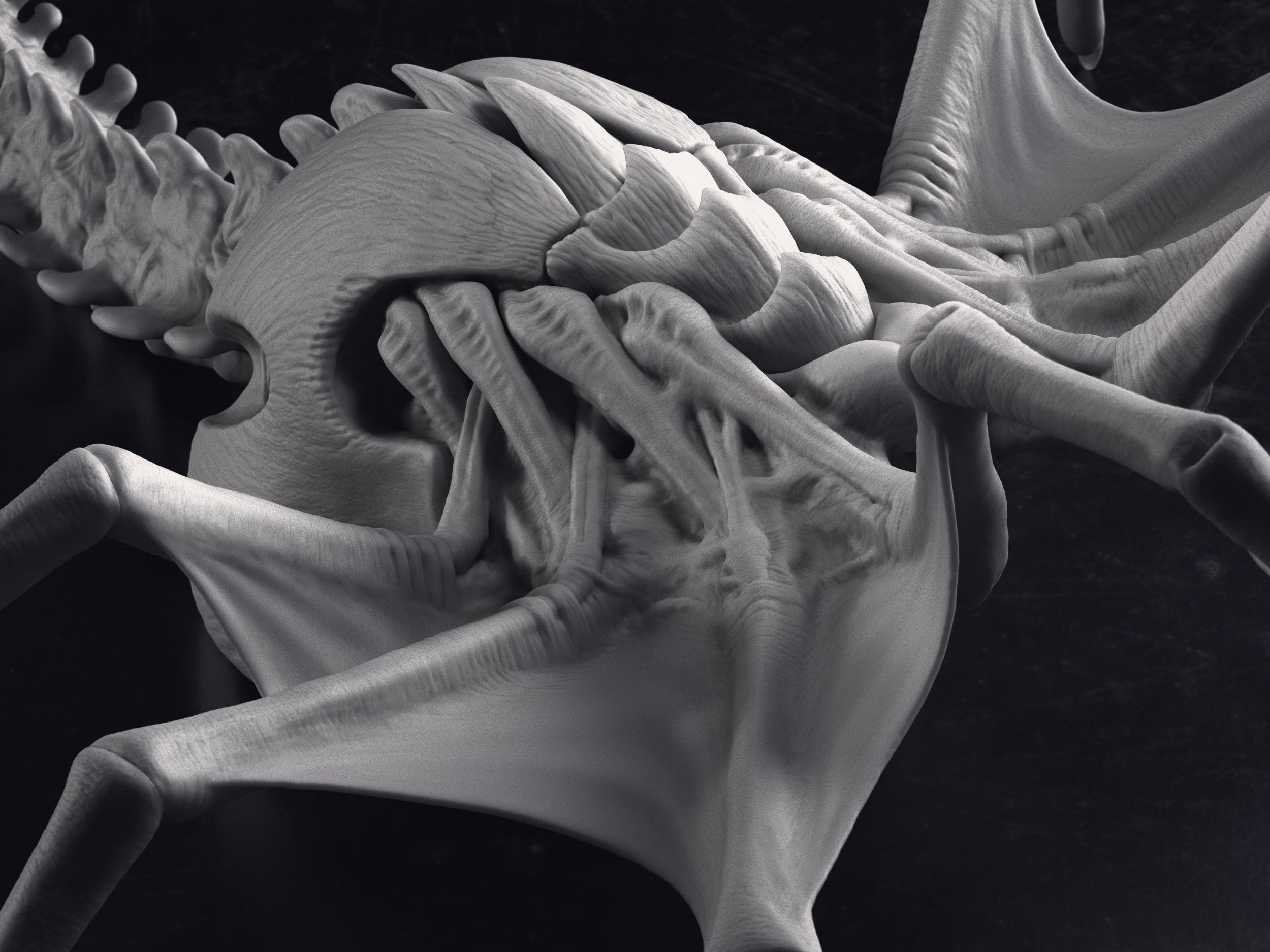 Alien Queen FaceHugger Sculpture Printable 3D Model 3D model 3D ...