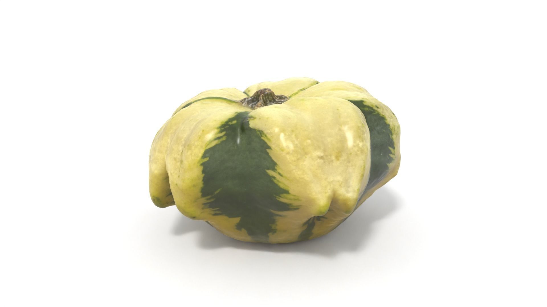 Decorative Gourd Pumpkin Squash Flower 3D Scan 3D model | CGTrader